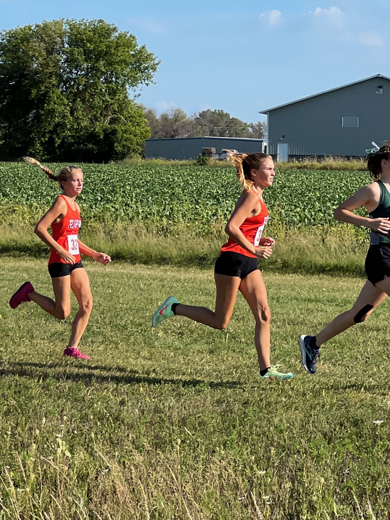 Ripon Tiger cross country teams finish middle of the pack at OVC Invite ...