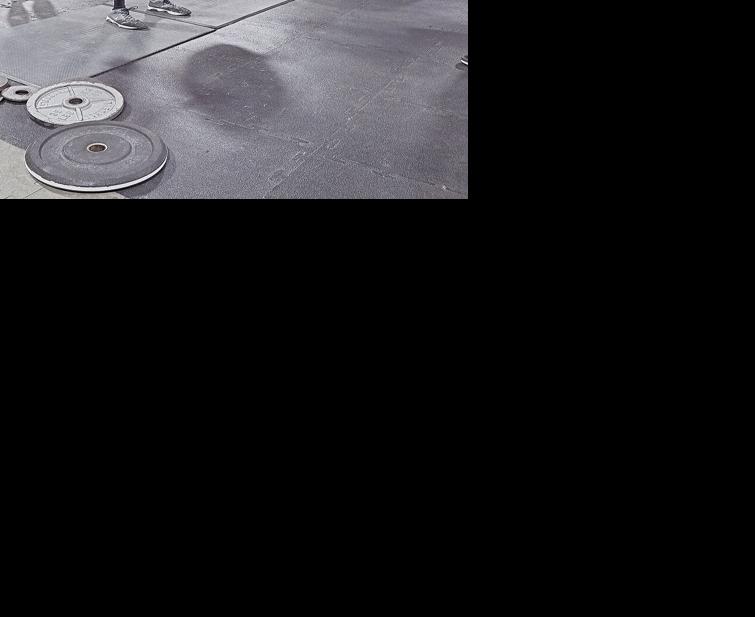 Bringing home hardware: Tim Fox Training has a strong day at Wisconsin ...