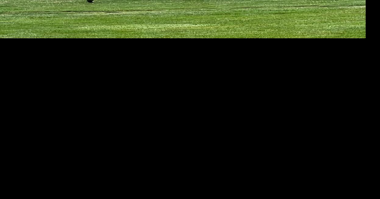 Ripon High School cross country at Mike Hurlbert Invitational — Sept ...