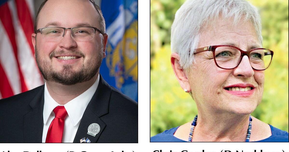 Dallman and Gordon square off for 39th Assembly District seat | Local ...
