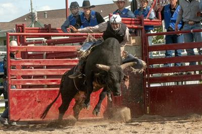 Falcon Frontier Days Rodeo makes for wild ride | Local News ...