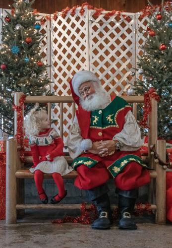 Weekend planner: Tis the season for lots of holiday events | Local News ...