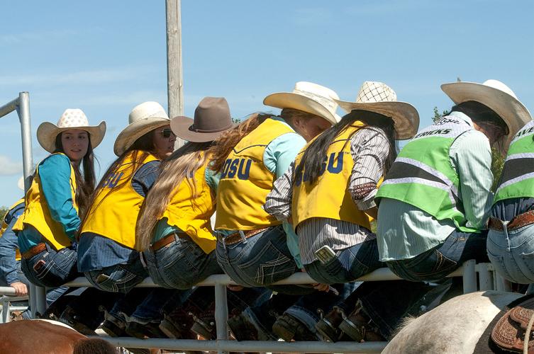 Falcon Frontier Days Rodeo makes for wild ride | Local News ...