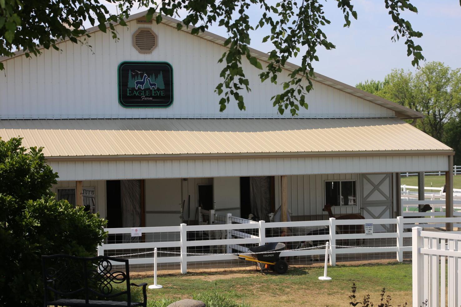 Eagle Eye Farm: a farm fresh success | Local News | riverfallsjournal.com