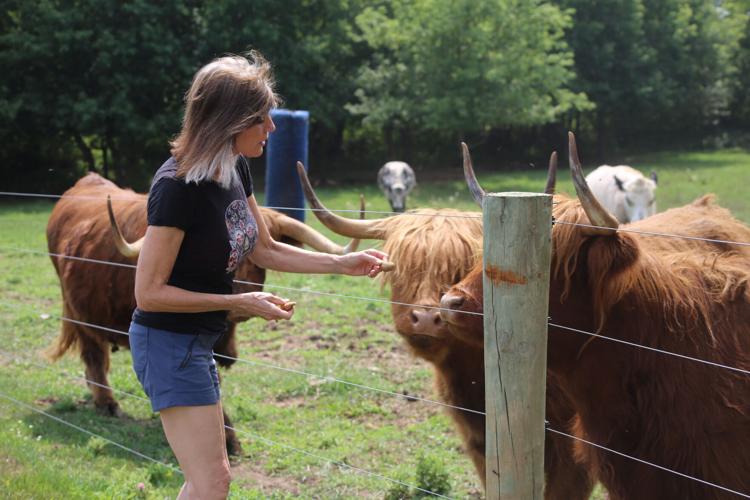 Find peace at Pleasant Pasture Farm Animal Sanctuary | Local-events ...