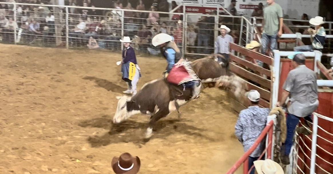 32nd Annual Atkins Rodeo & Fireworks Show benefitting Arkansas Children ...