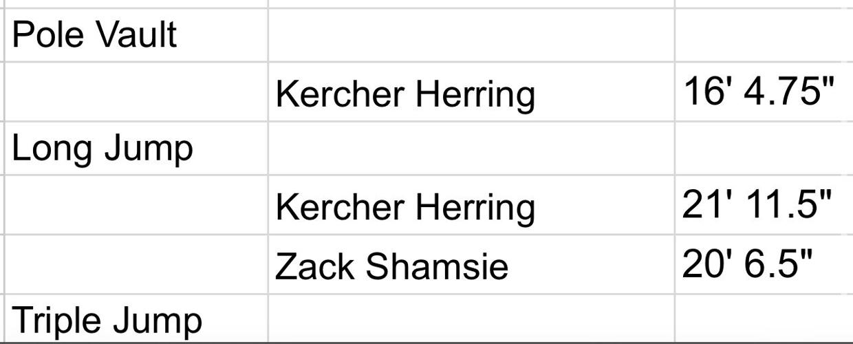 Nicholson, Herring break school track records at indoor meet | Local ...