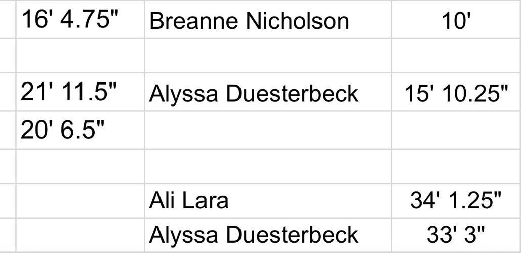 Nicholson, Herring break school track records at indoor meet | Local ...