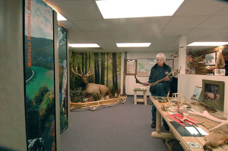 Majestic elk draw wildlife watchers to Buffalo National River country ...