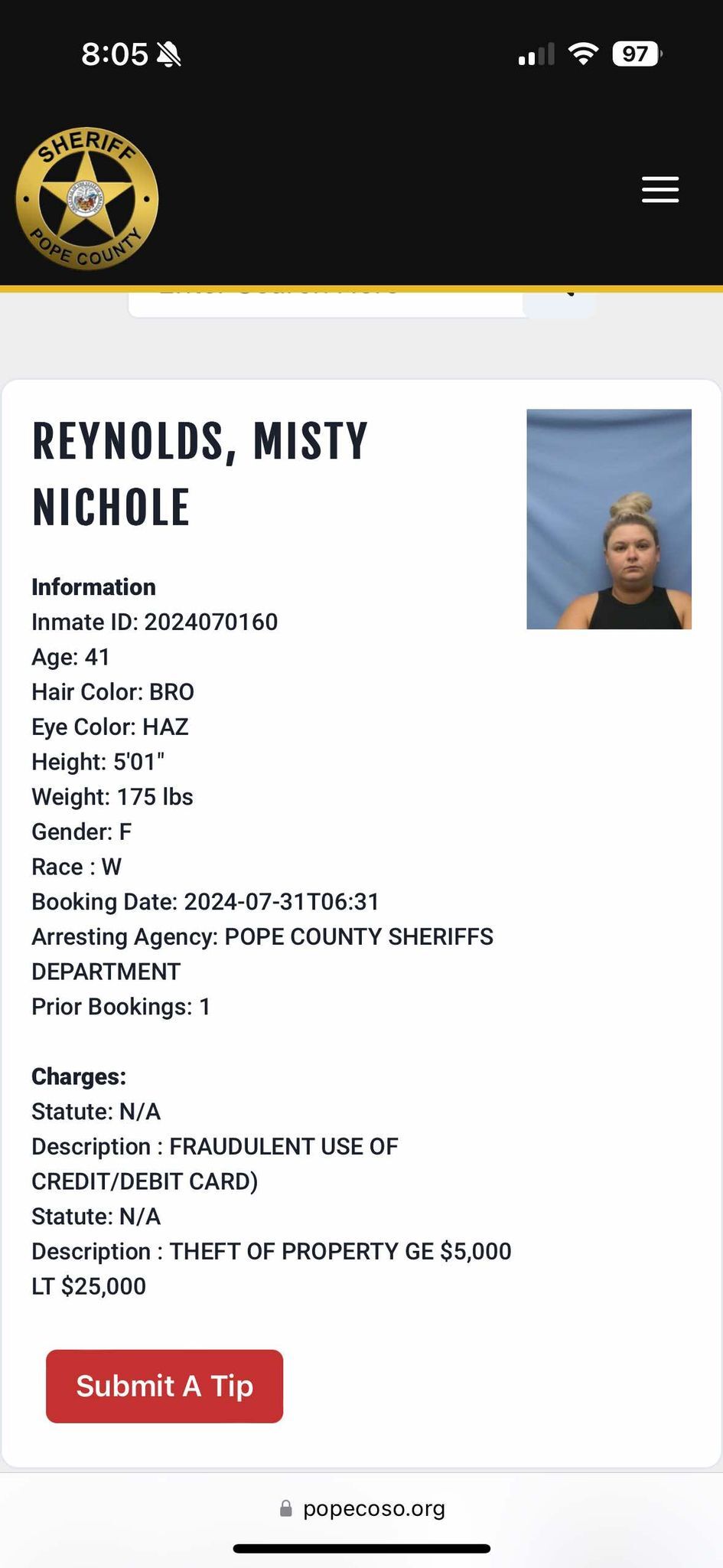 Felony charges levied against alleged Pottsville school PTO thief ...