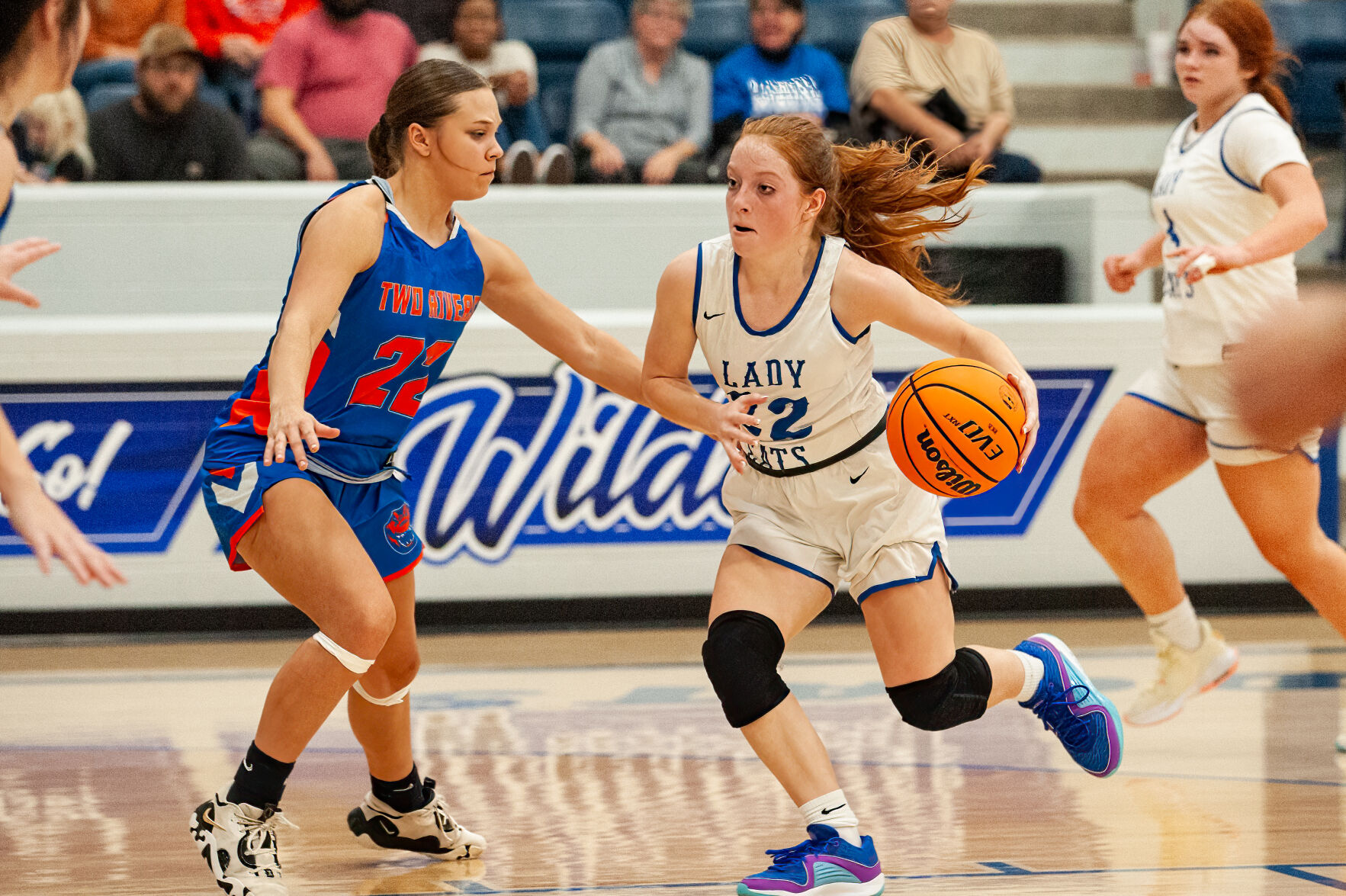 Hector basketball report | Local Sports | rivervalleynow.com