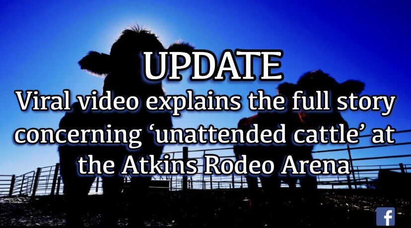 UPDATE: Viral video explains the full story concerning Thursday’s ...