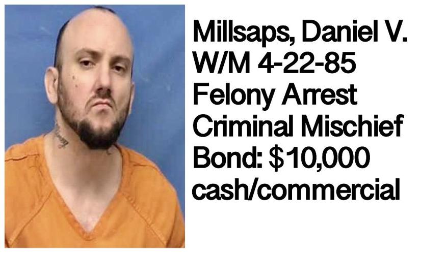 Bond Hearings: Pope County Felony Arrests Monday, April 29 - Friday ...