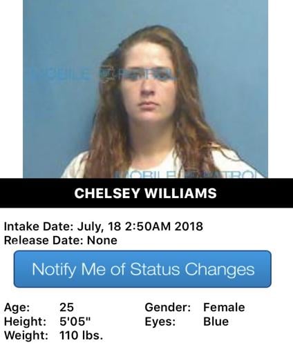 Conway County Mugshots - July 23, 2018 | Mugshots | rivervalleynow.com