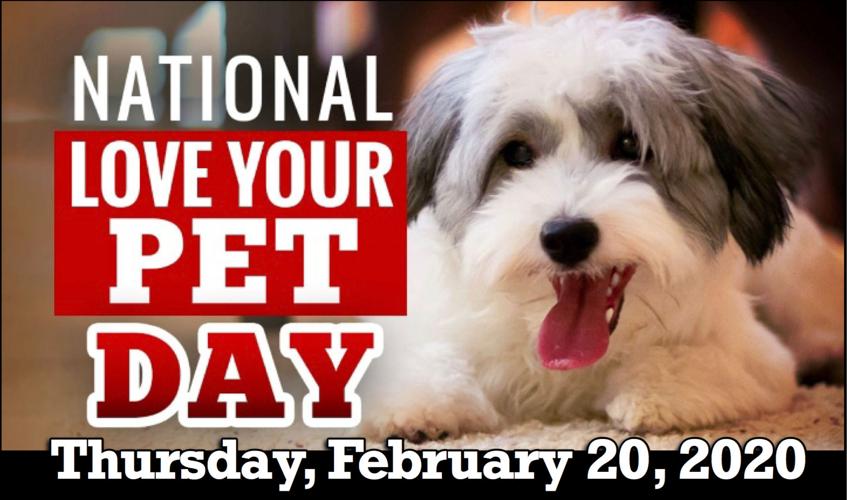 Recognizing our pets on National Love Your Pet Day, February 20, 2020 ...