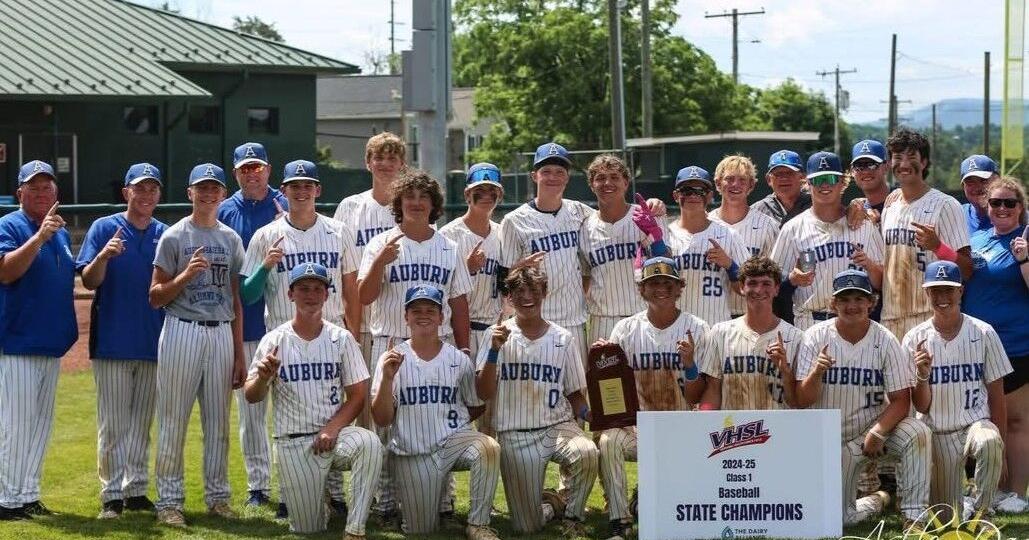 Auburn baseball wins, girls soccer falls in state finals