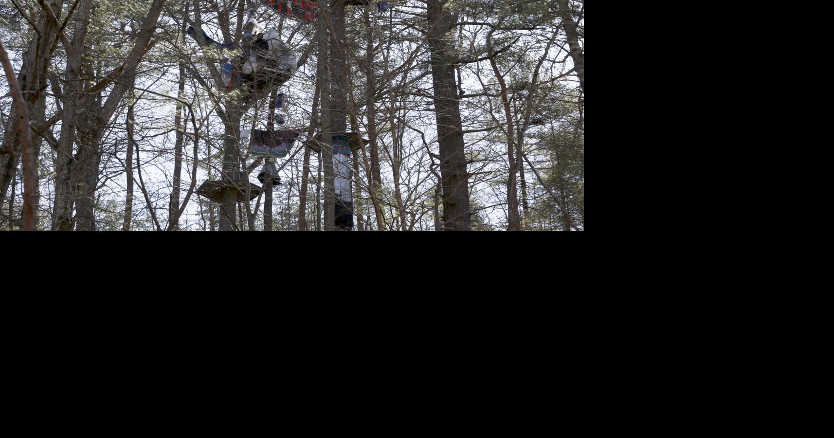 Mountain Valley tree-cutters resume work, as tree-sitters continue ...