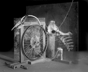 William King Museum in Abingdon showcases Roanoke artist Robert Sulkin