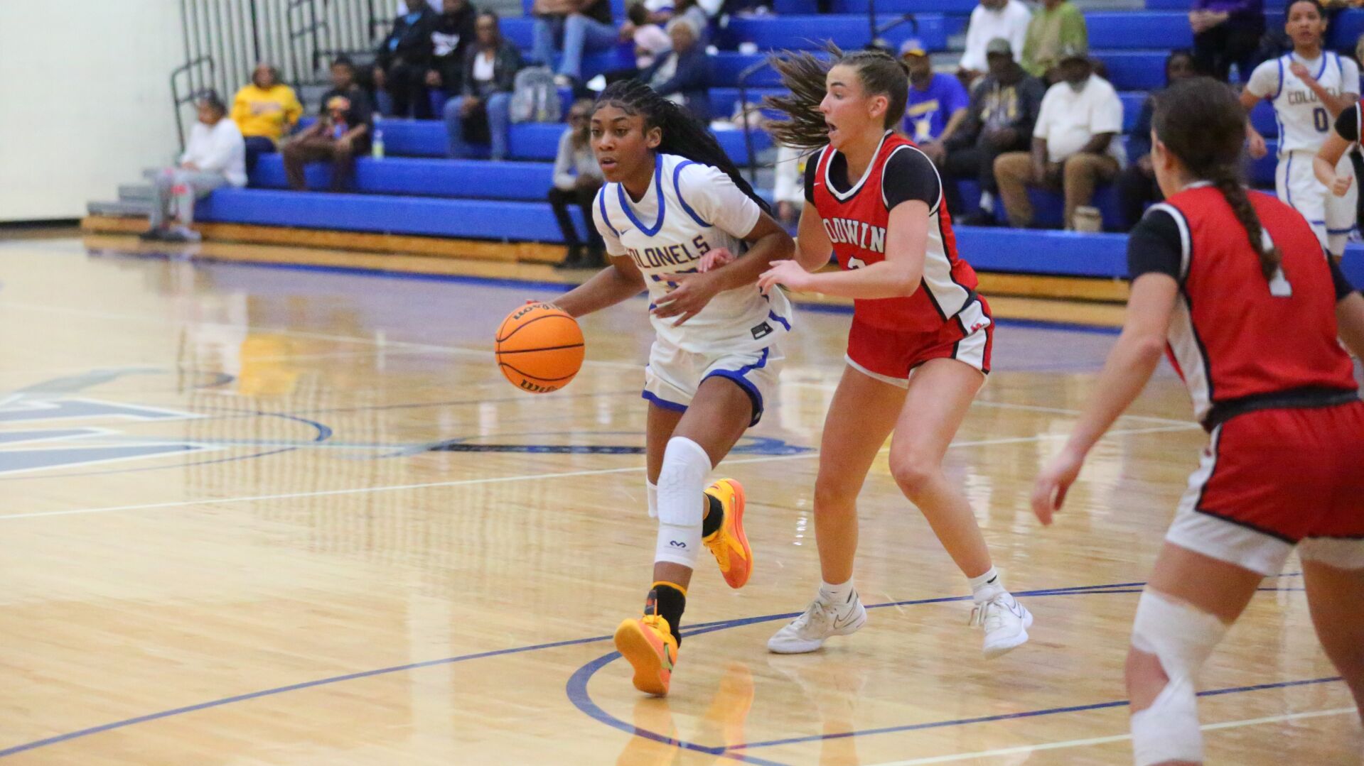 The Roanoke Times 2025 All-Timesland Girls Basketball Team