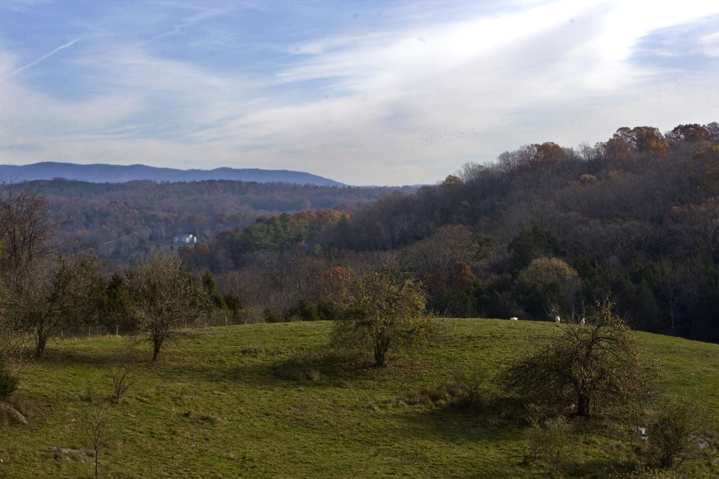 Fincastle, the tiniest town in Southwest Virginia, wants to grow