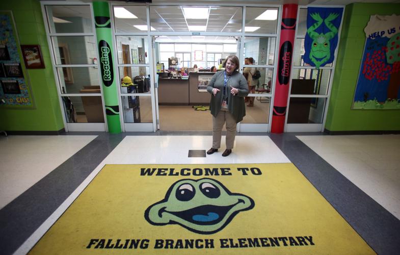 fallen branch elementary
