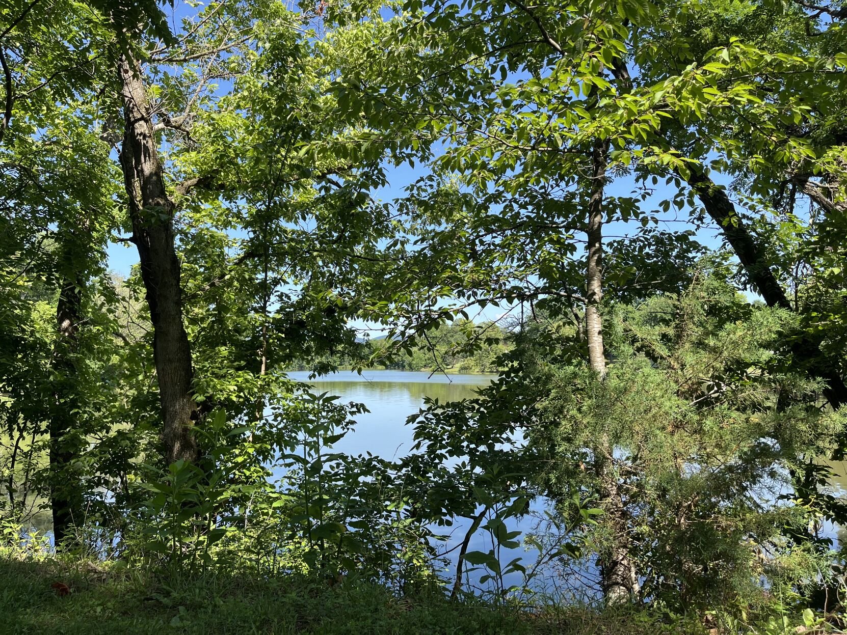 Botetourt County looking to breach Orchard Lake dam