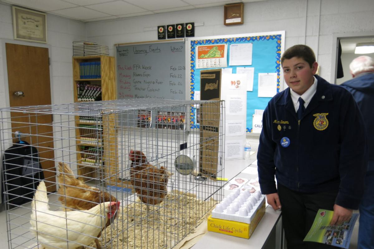Expo at Lord Botetourt High School showcases 4-H, FFA projects