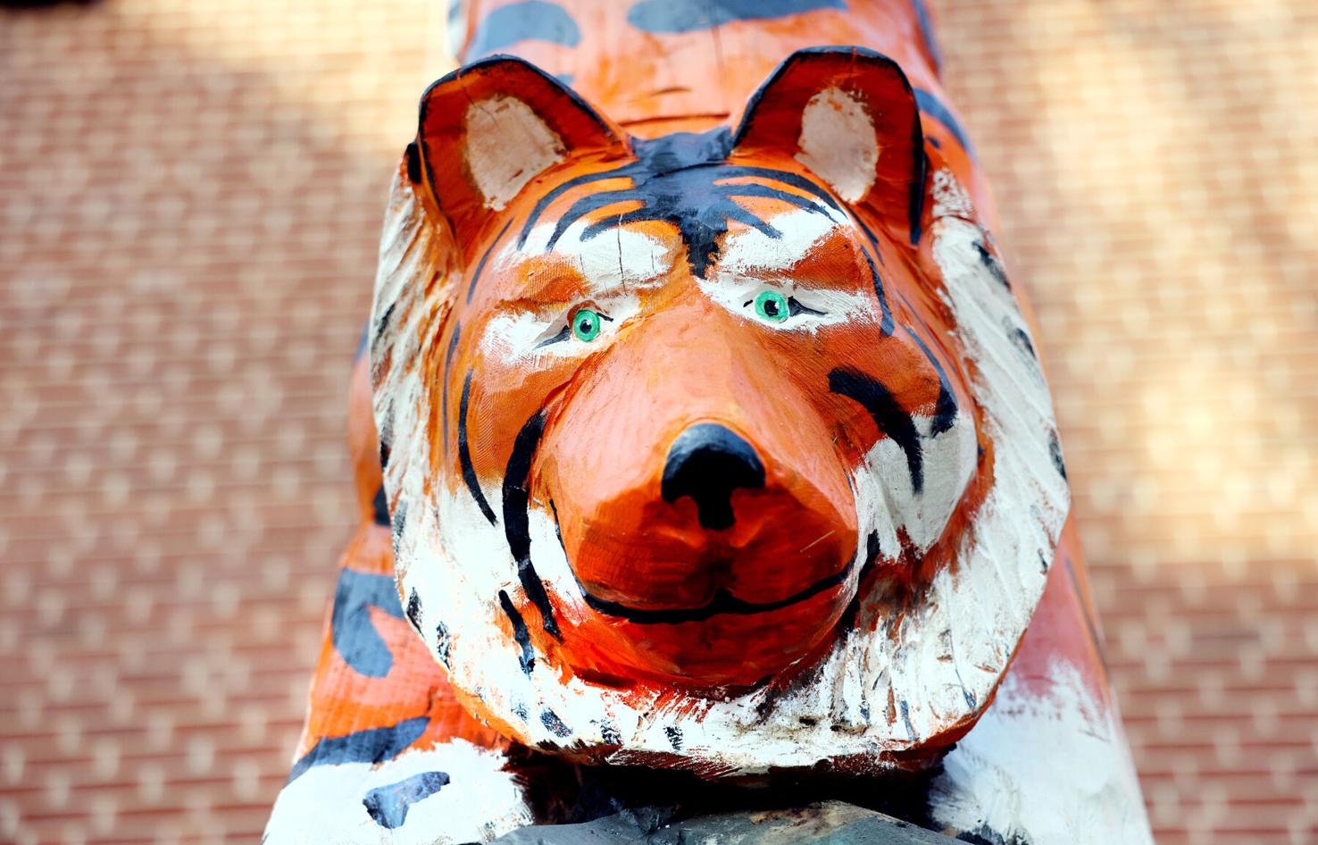 Artist carves Crystal Spring school mascot into tree trunk