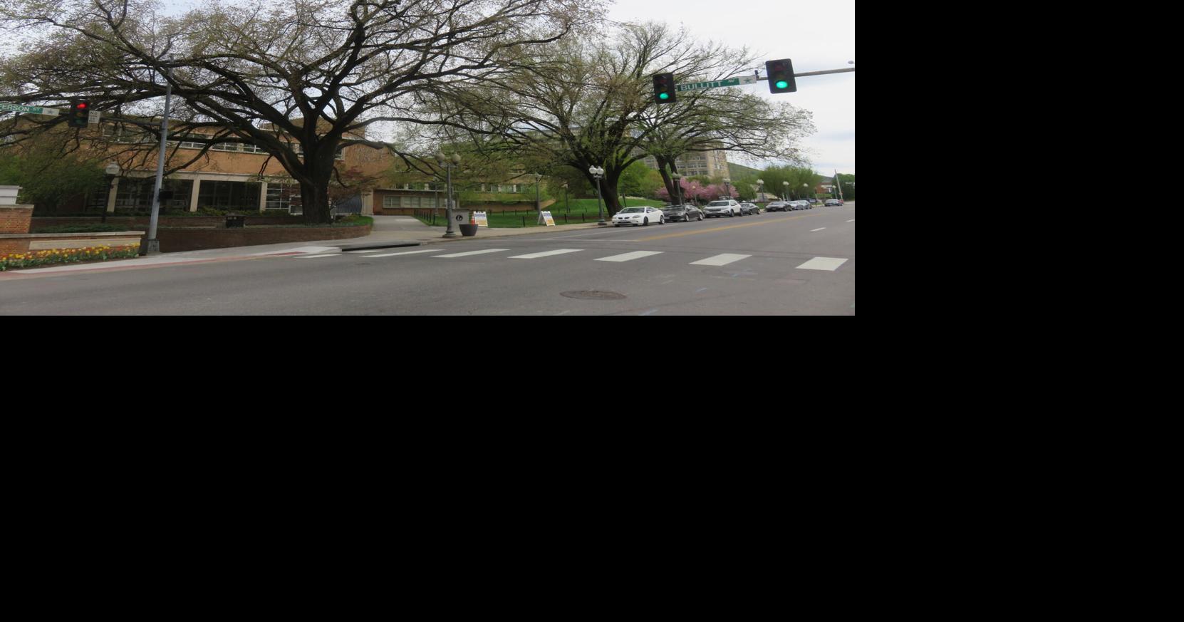 Editorial: Lessons from downtown Roanoke's elm trees