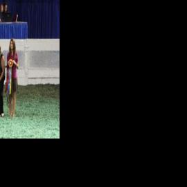 Rebecca Doss of Salem wins at the American Saddlebred World ...