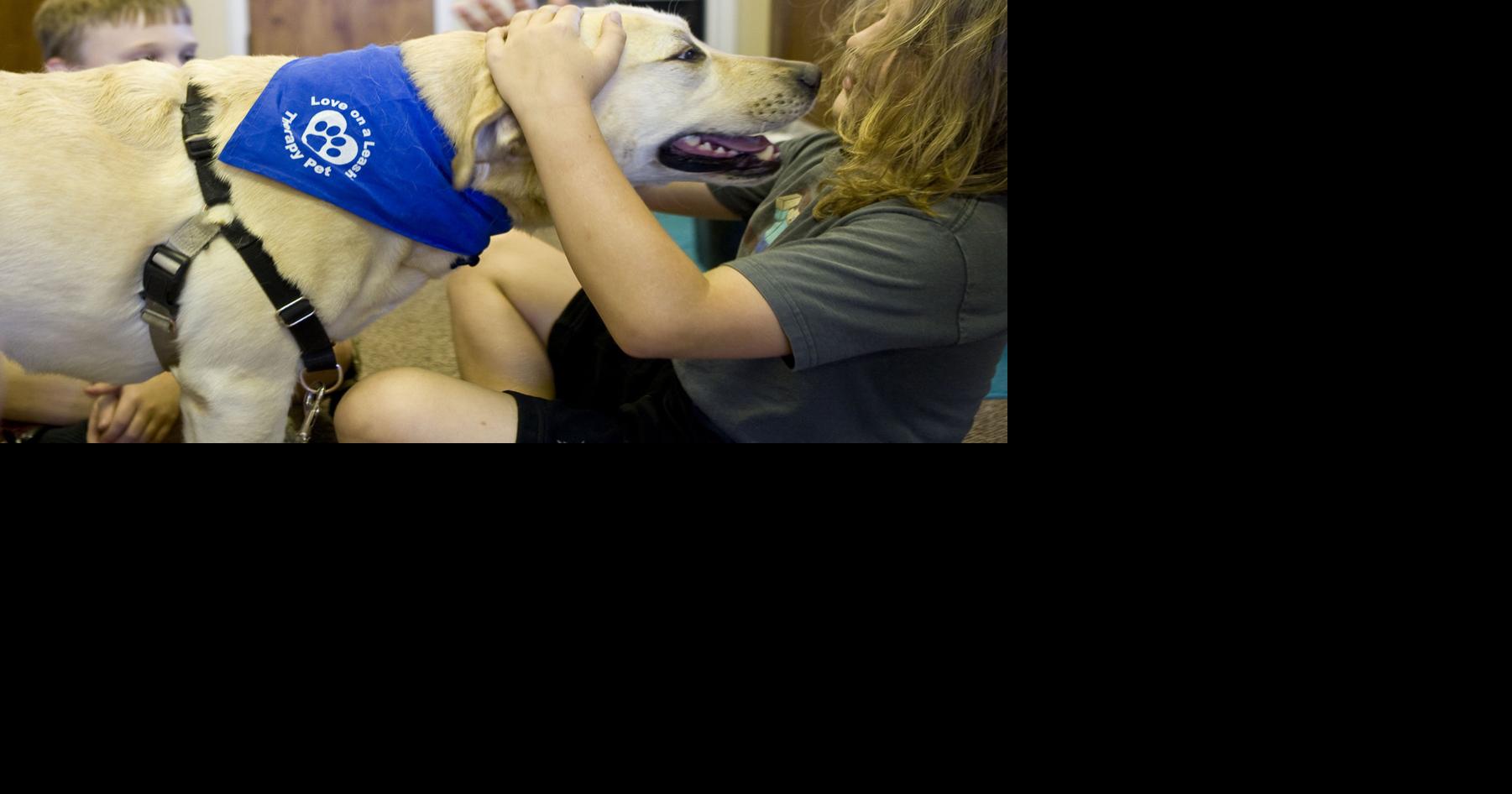 Therapy dog is pure love on a leash