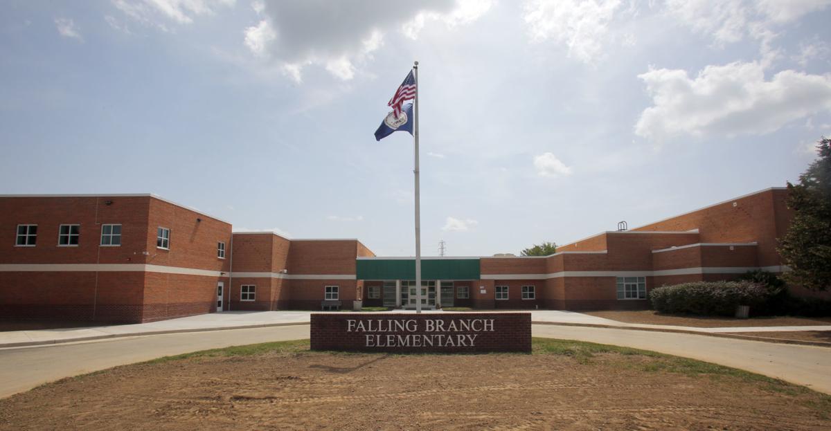 fallen branch elementary