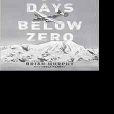 Book review: WWII pilot survives '81 Days Below Zero' in thrilling true ...