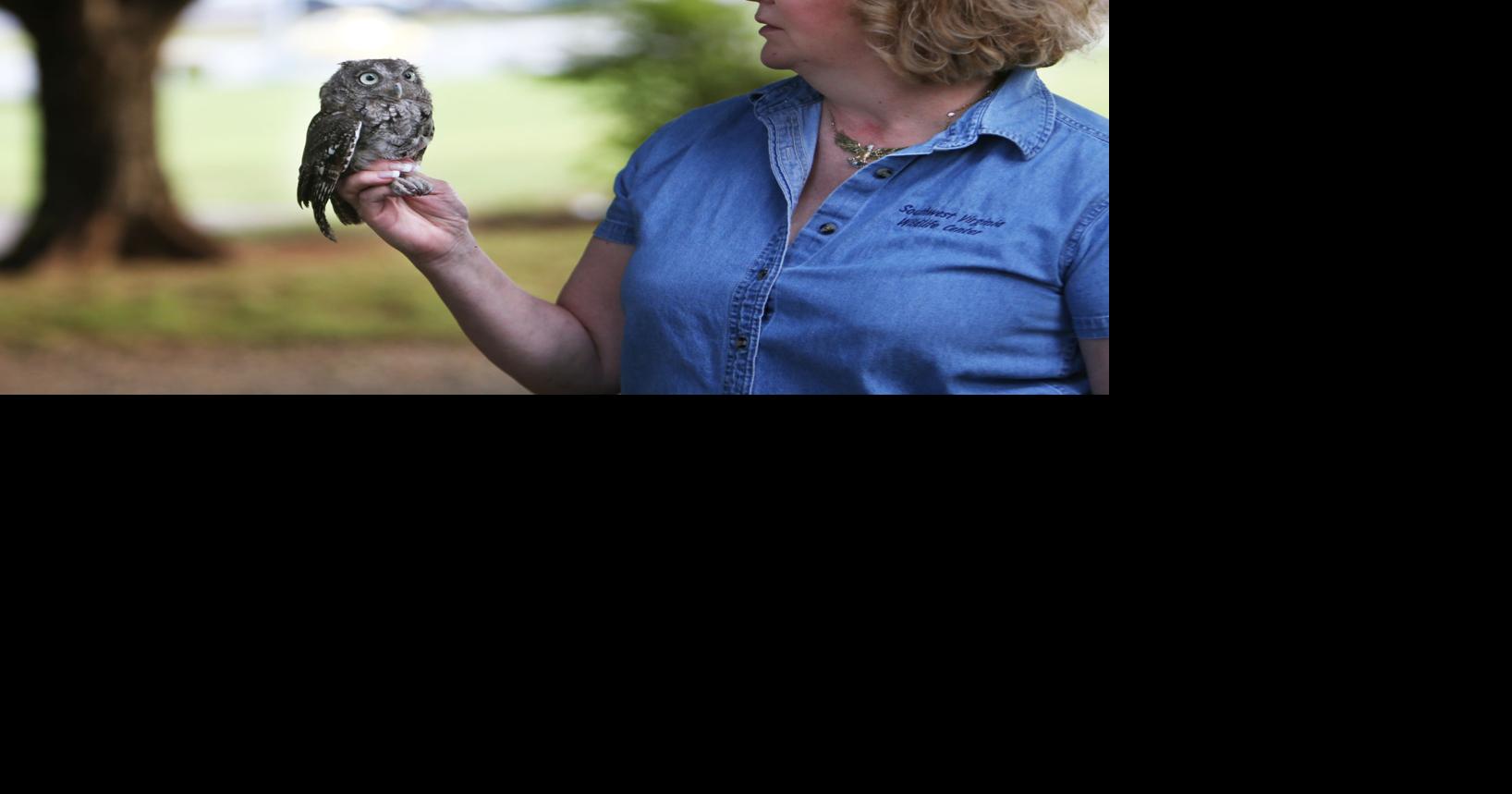Lessons wait in the wings at Fishburn Park Elementary