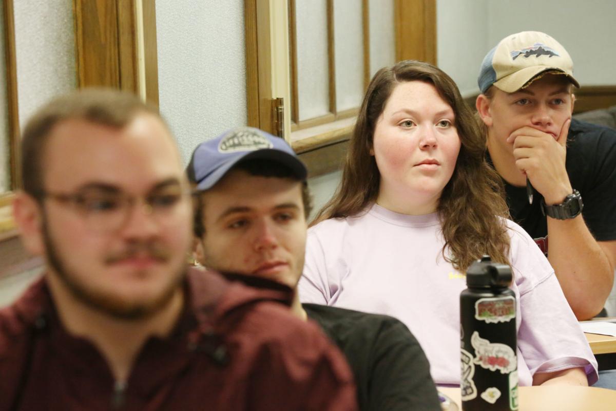 Arts & Extras: Looking back at the Vietnam War | Arts | roanoke.com