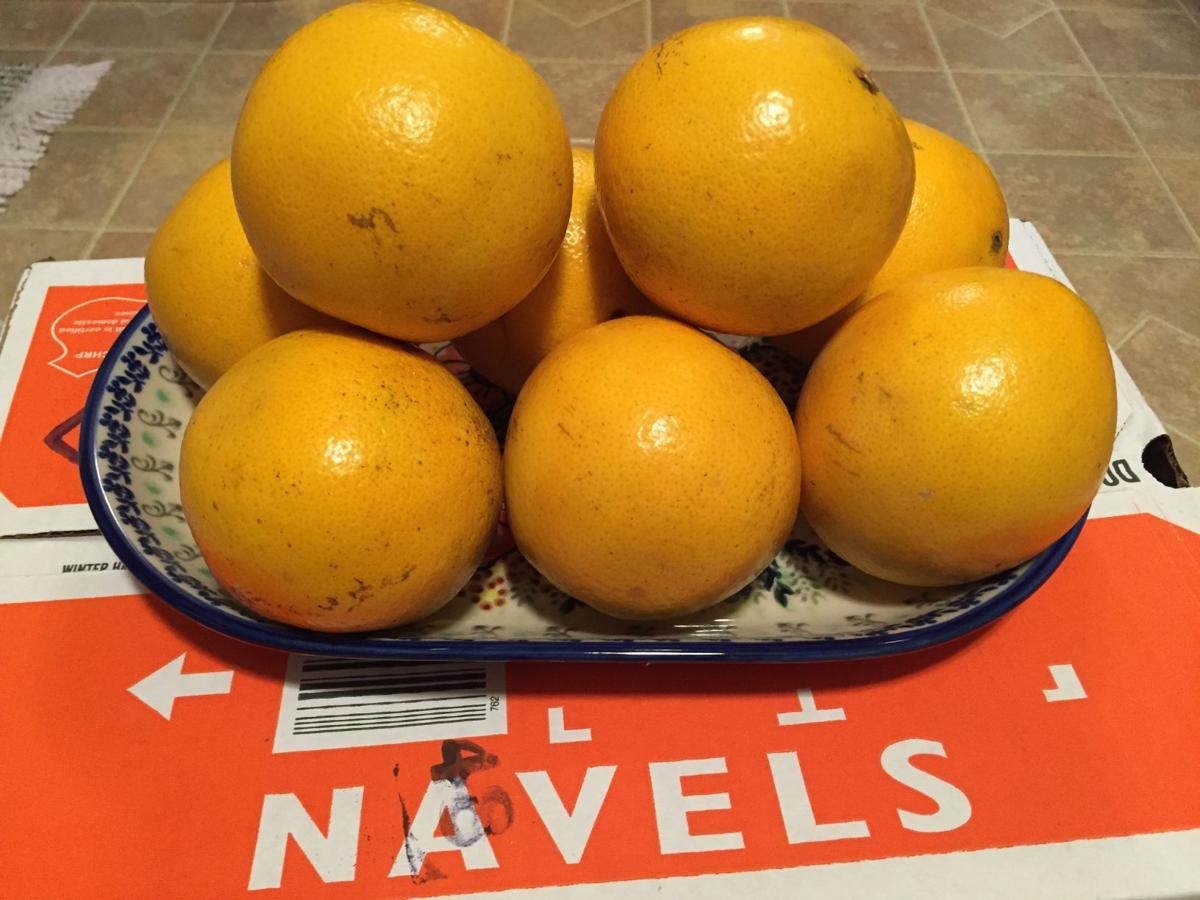 Central Academy FFA holds fruit sale