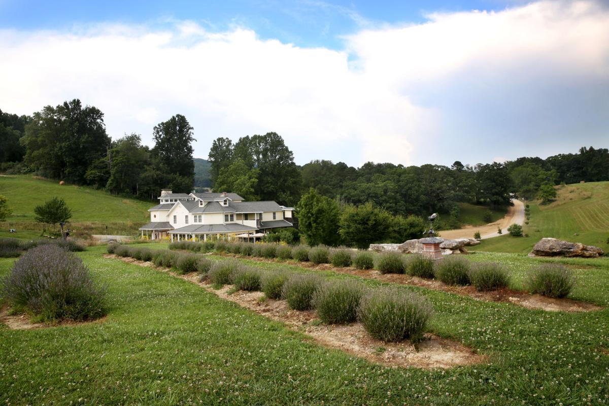 Agritourism a growing trend for Virginia farms | Business | roanoke.com