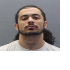 Montgomery County stabbing case ends with plea agreement