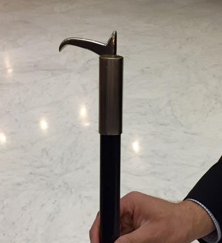 Panel tables Del. Sam Rasoul's bill to ban use of bullhooks on elephants