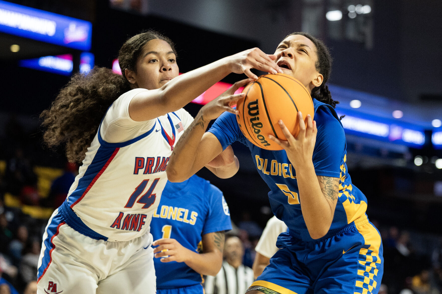 'We’ll be back' Fleming girls declare after state final loss