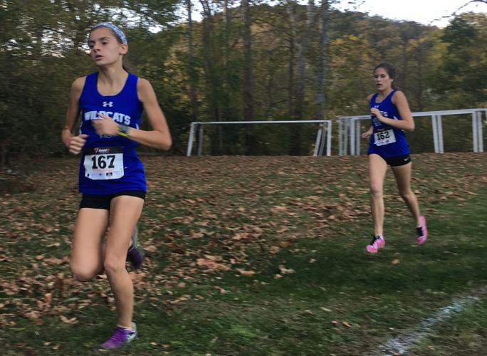 Wildcats, Cavaliers roll at Conference 31 cross country championships ...
