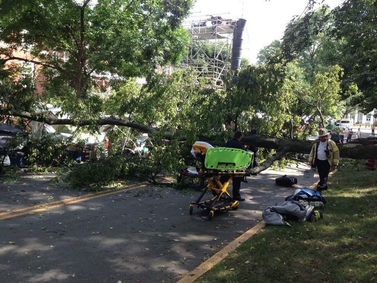 6 hurt after tree section falls on tents in Charlottesville
