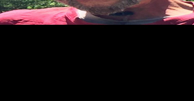 Lebowitz, Stuart Robert