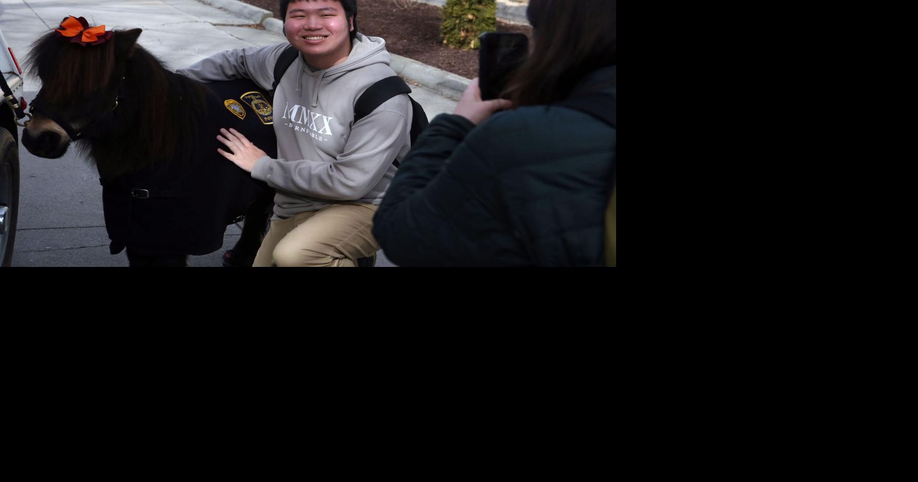 Ringo the Patrol Pony is 'mane' attraction at Virginia Tech