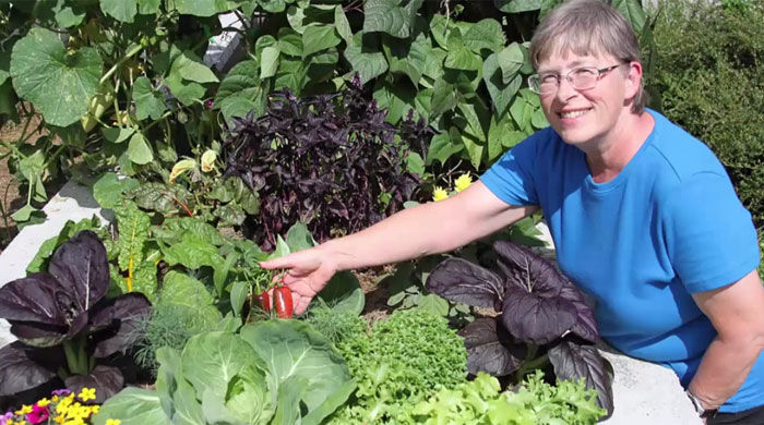 Hope you're not allergic to all the free fun this weekend