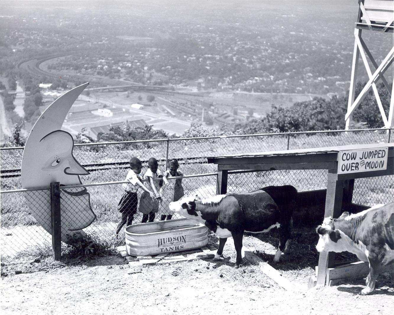 Photos: Mill Mountain Zoo through the years