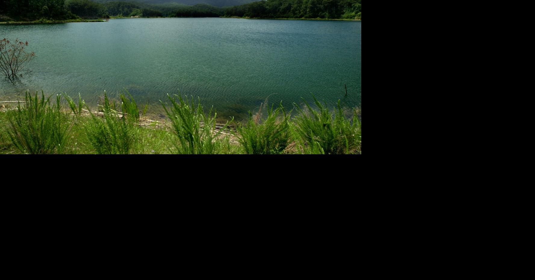 Tests find 'forever chemical' in Roanoke River upstream of Spring ...