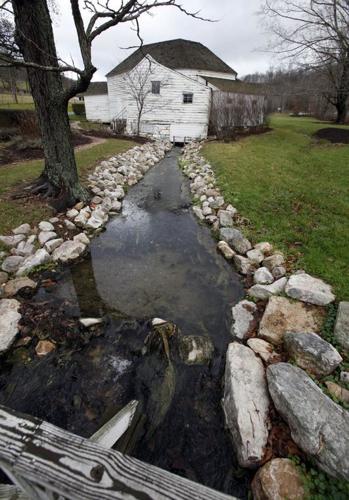 Step in the right direction for 'endangered' Jefferson Pools