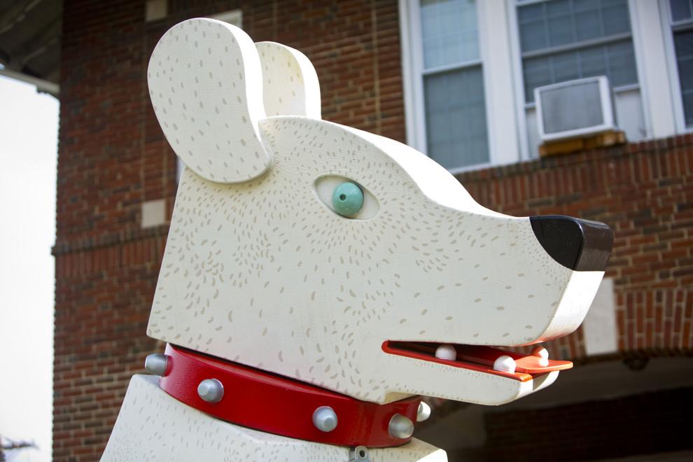Photos: Fire station's 'Trojan Dog' goes for grooming