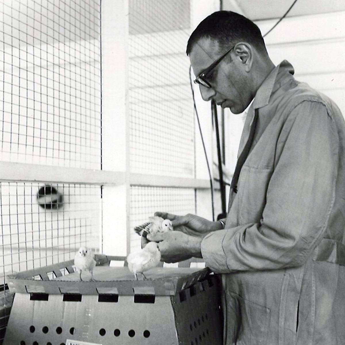 Images from Chicken Hill, home of Paul Siegel's research since 1957